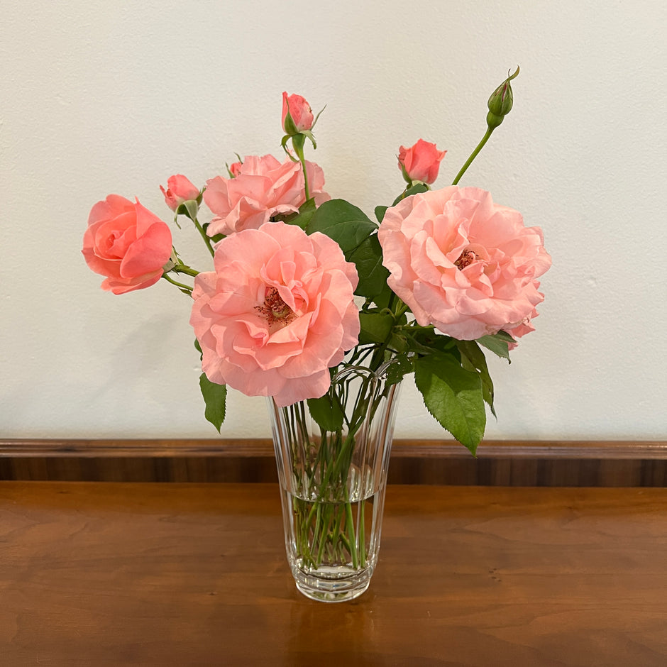 Coffee, Tea, Mimi LLC